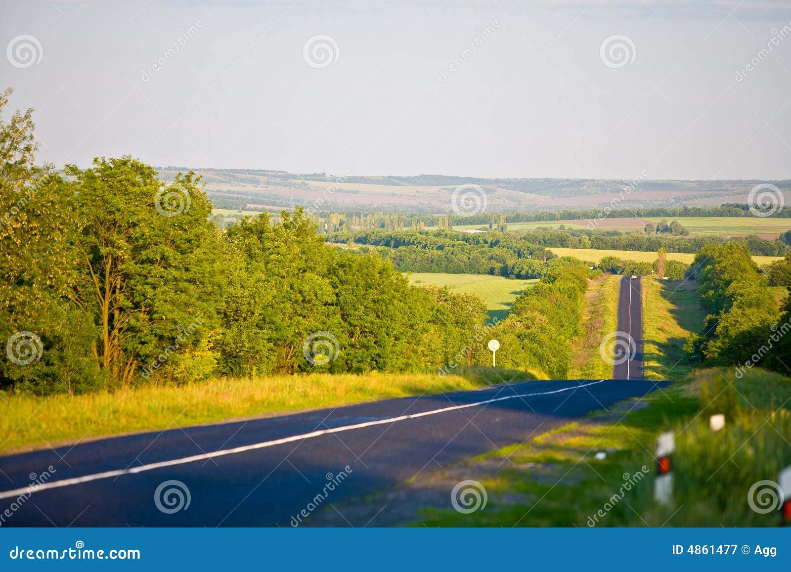 Summer road stock image. Image of nature, park, tree, road - 4861477