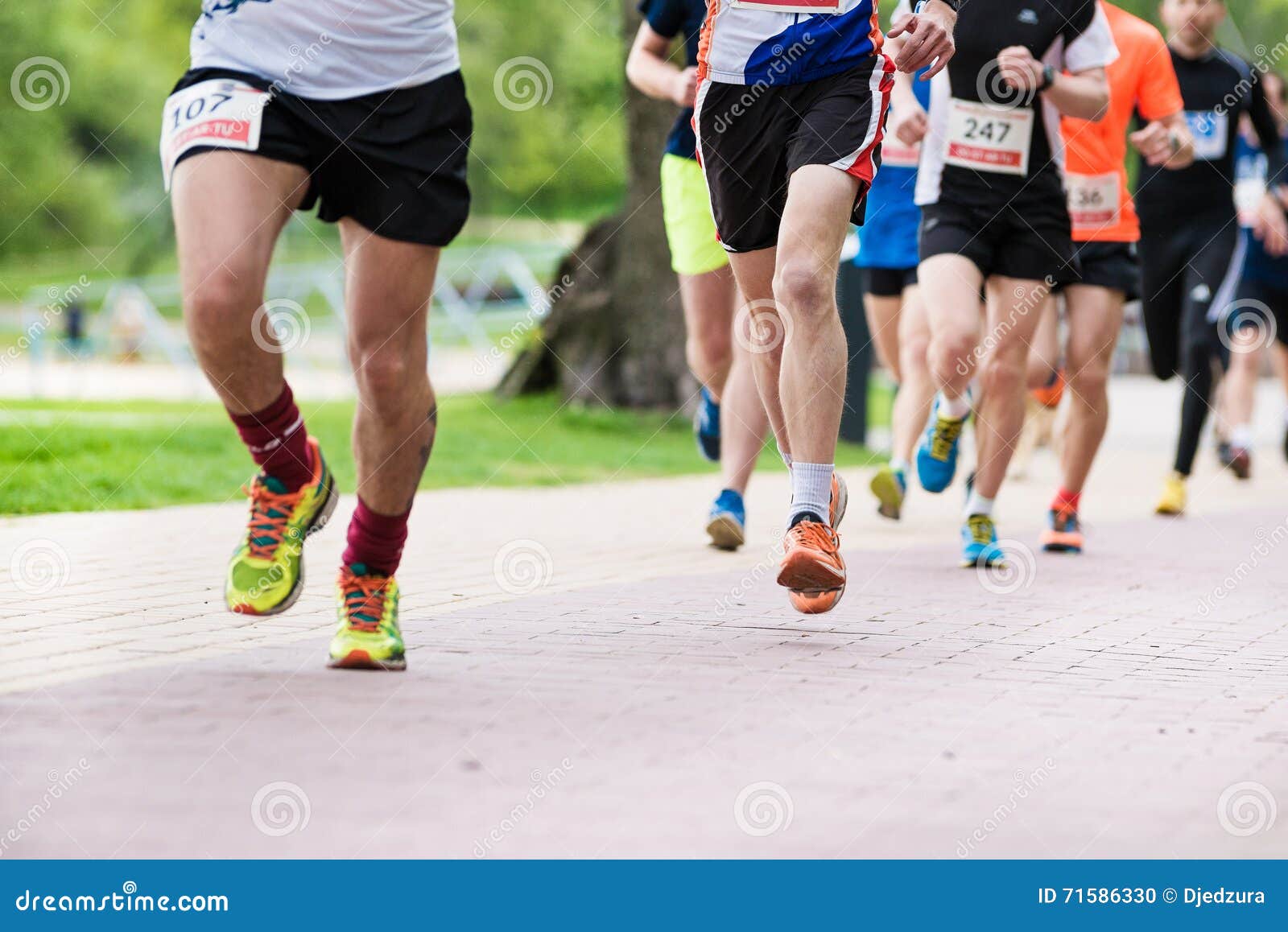 Summer Running Race in the Park Stock Photo - Image of healthy, racing ...