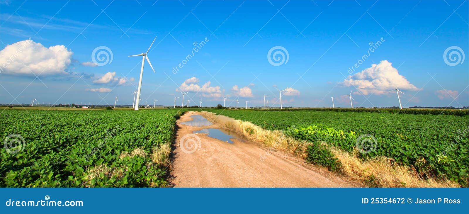 Summer in Rural Illinois stock photo. Image of outdoors - 25354672