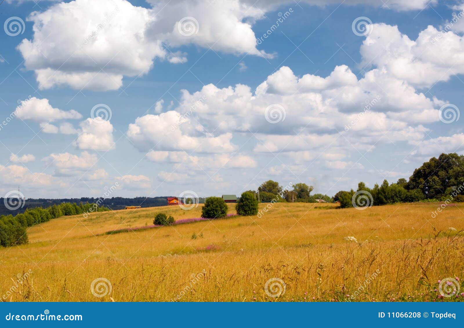 Summer rural landscape stock photo. Image of corn, cumulus - 11066208