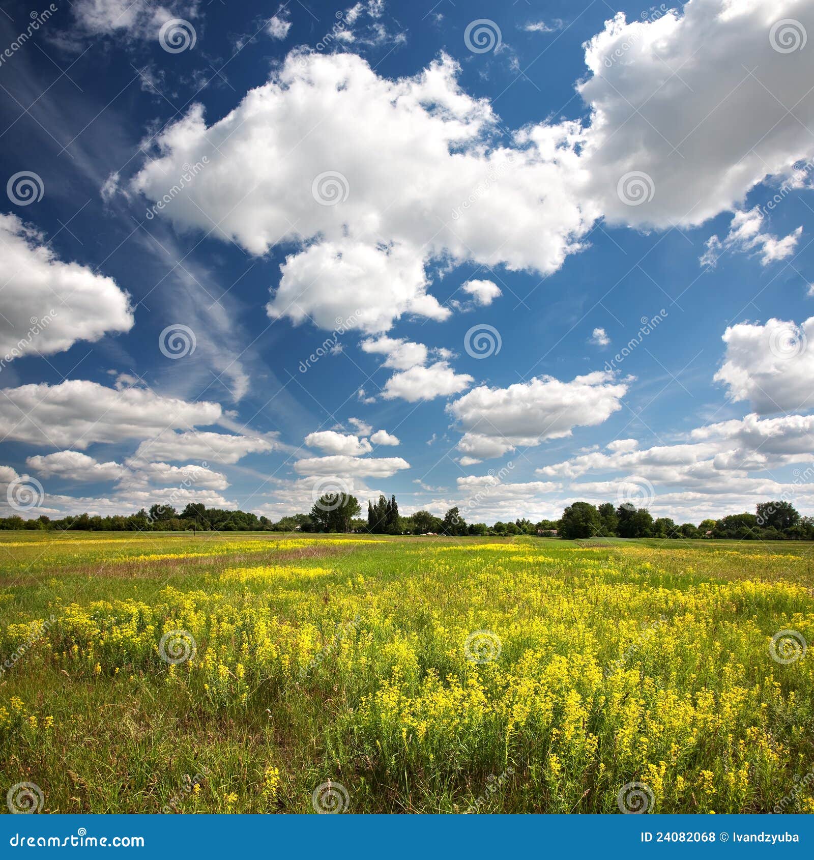 Summer rural landscape stock photo. Image of green, herb - 24082068