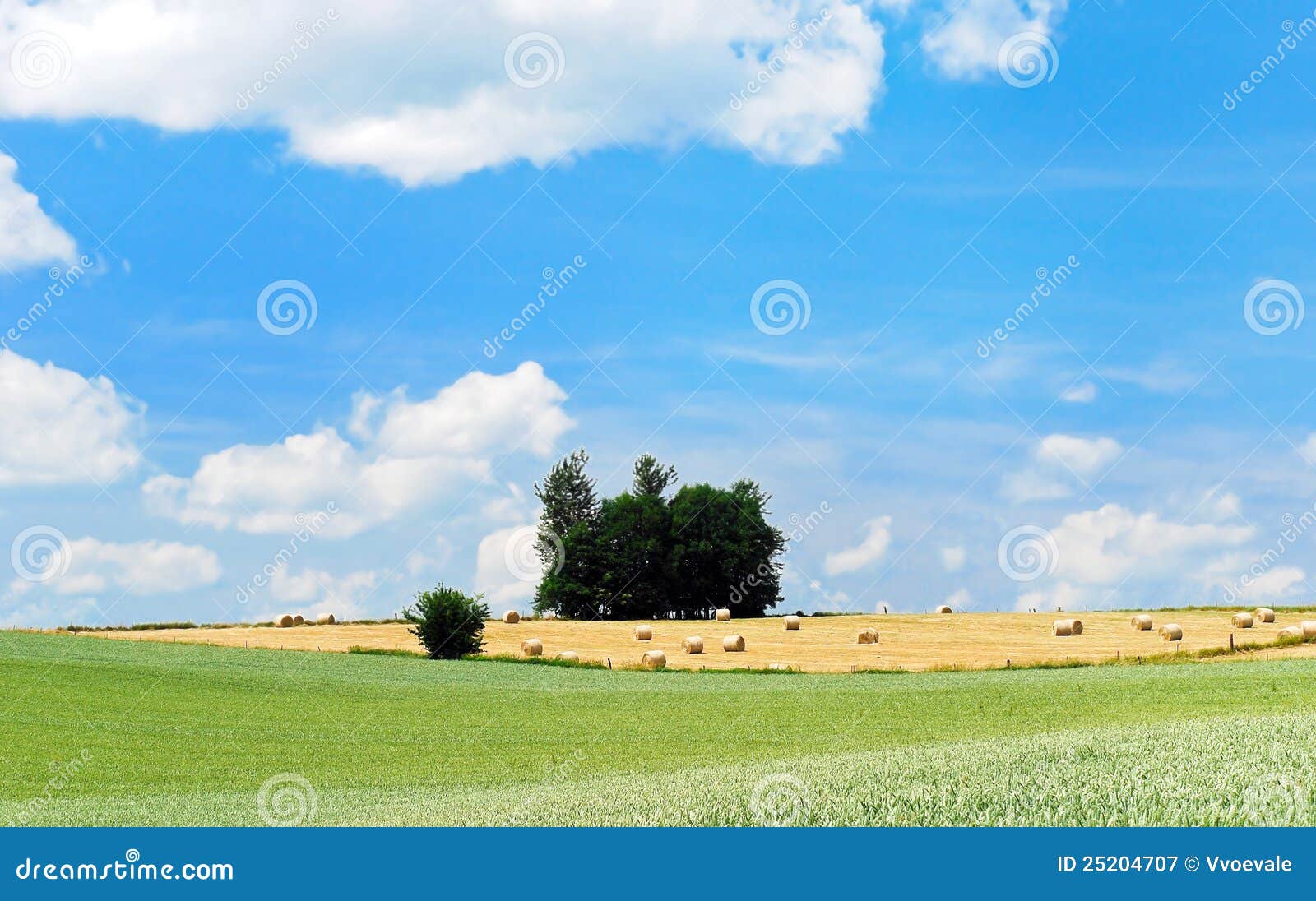 Summer rural landscape stock image. Image of panorama - 25204707