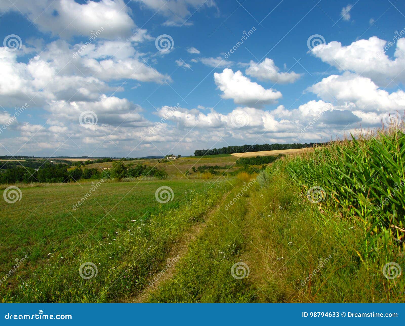 The Summer Rural Landscape Amidst Beautiful Clouds Stock Image - Image ...