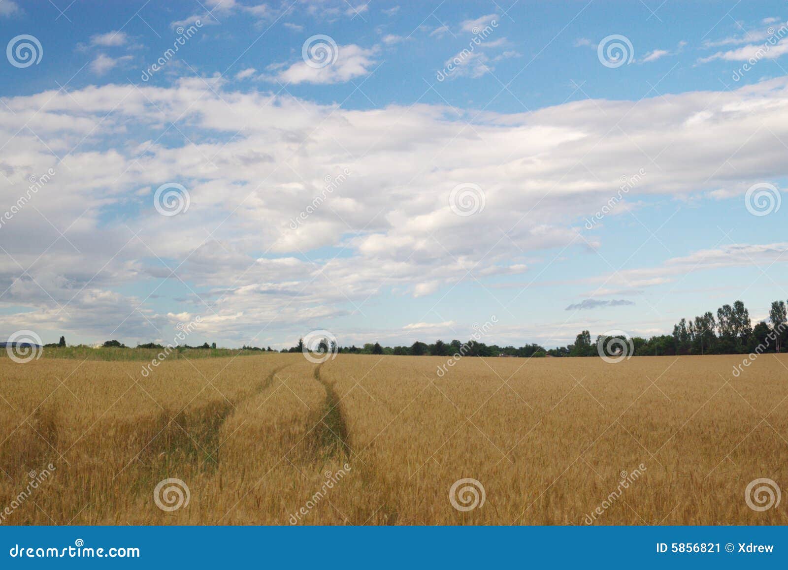 Summer rural lanscape stock image. Image of farming, landscape - 5856821