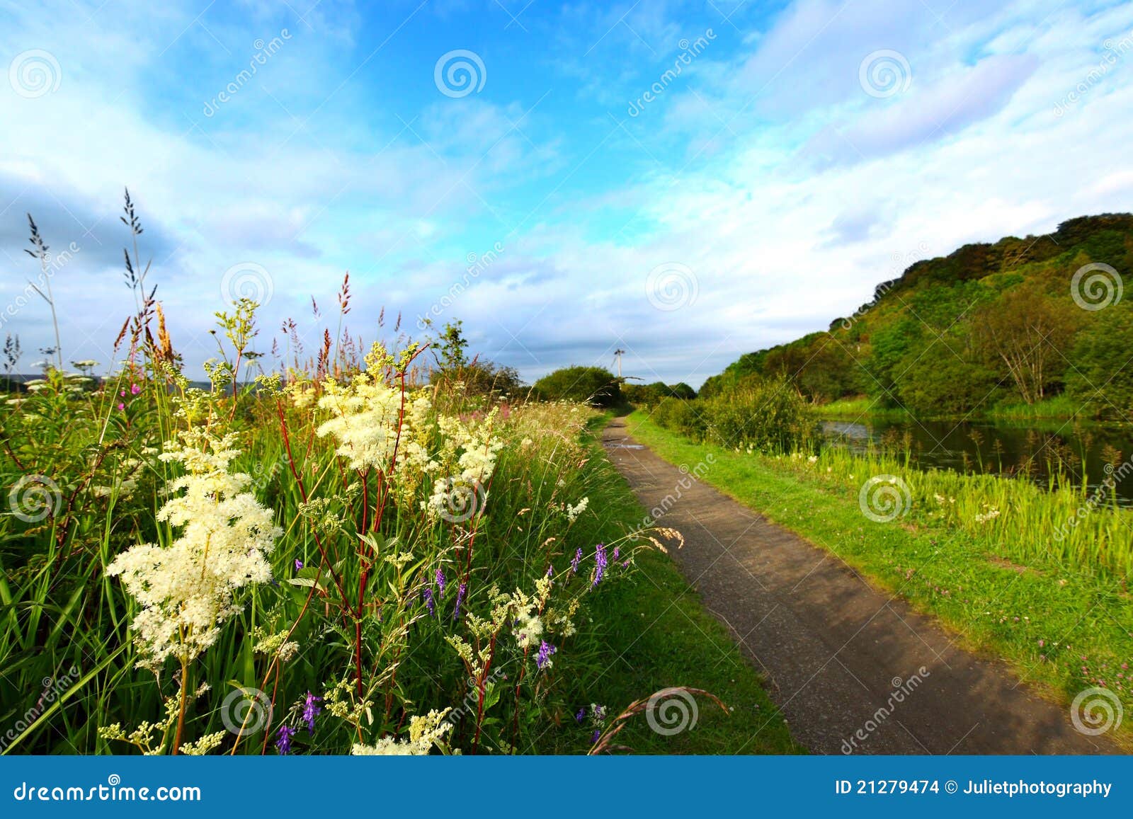 Summer Rural Path Along Canal Stock Photo - Image of scenic, natural ...