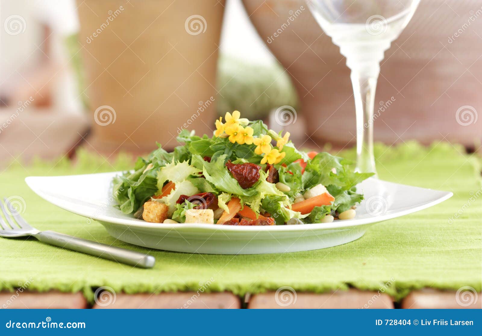Summer salad table setting stock photo. Image of summer - 728404