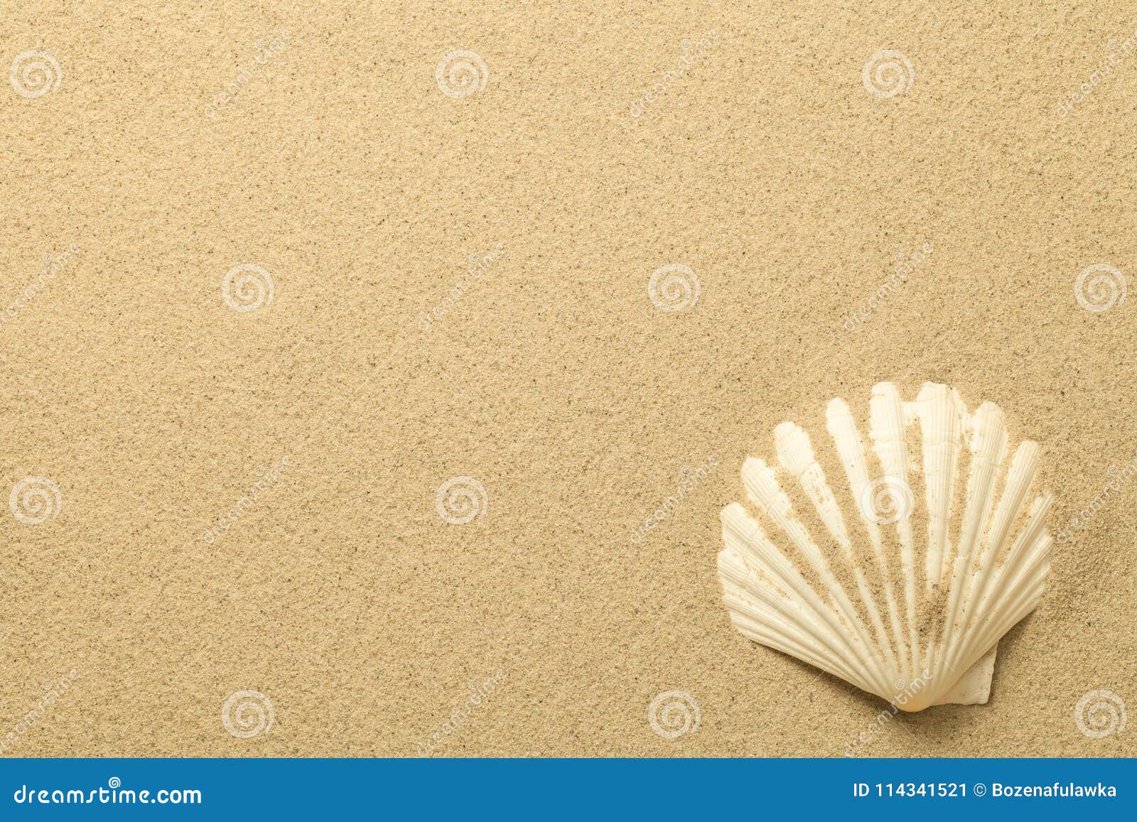 Summer, Sand Background with Shell Stock Image - Image of nature ...
