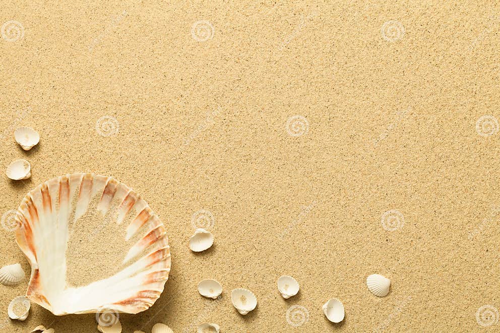 Summer, Sand Background with Shells Stock Photo - Image of desert ...