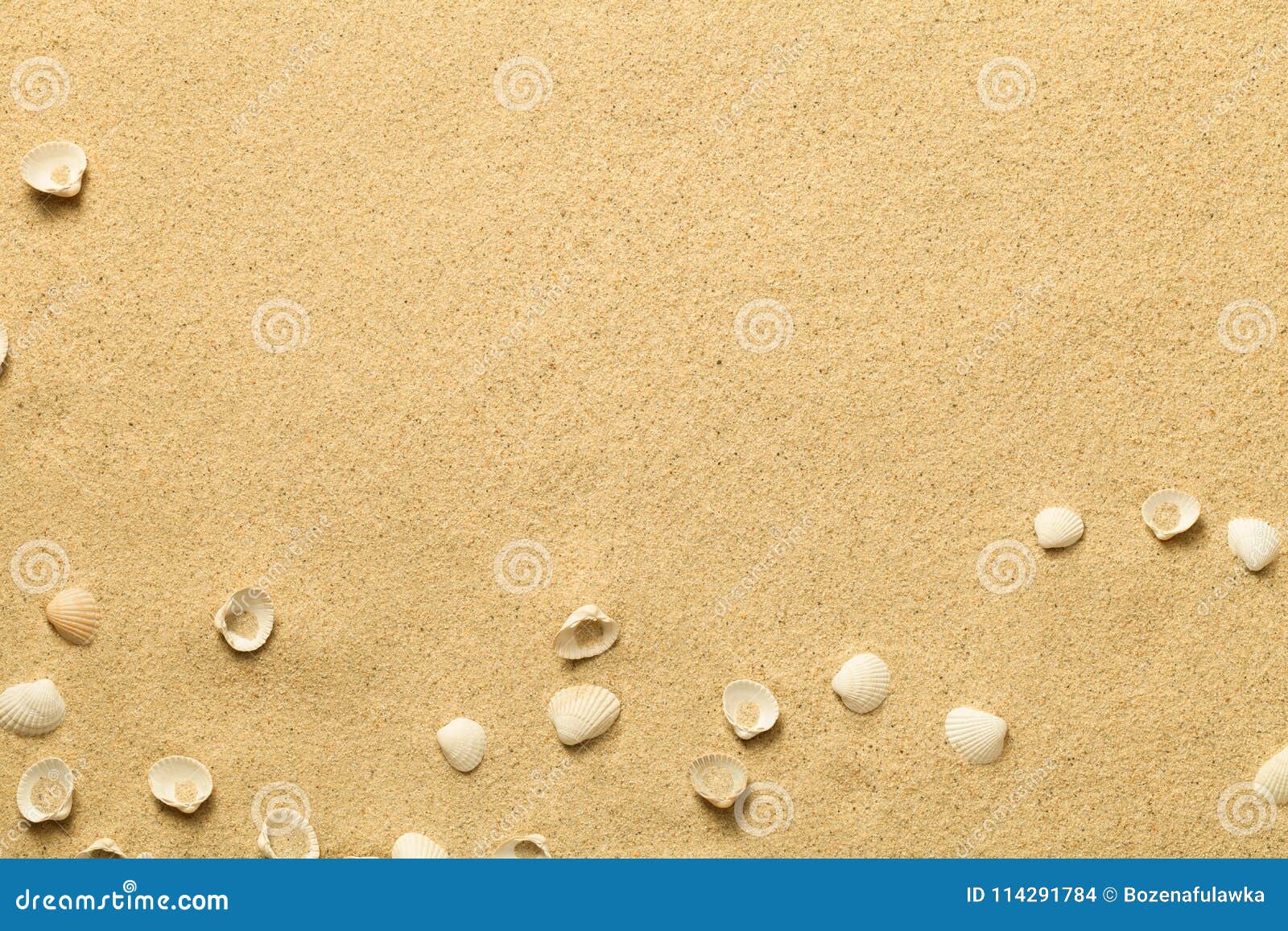 Summer, Sand Background with Shells Stock Photo - Image of starfish ...