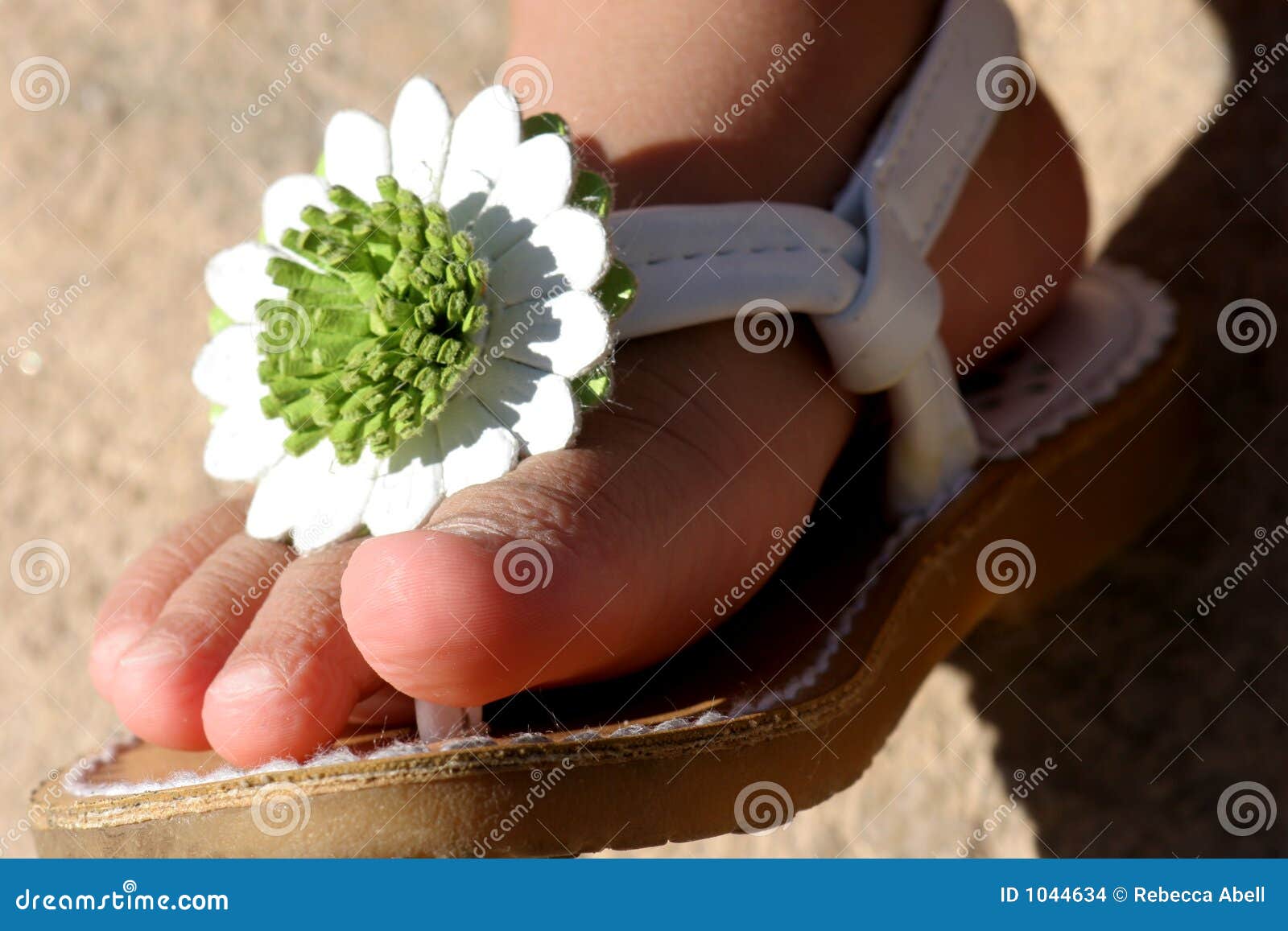 Summer Sandle stock photo. Image of shoe, flower, child - 1044634