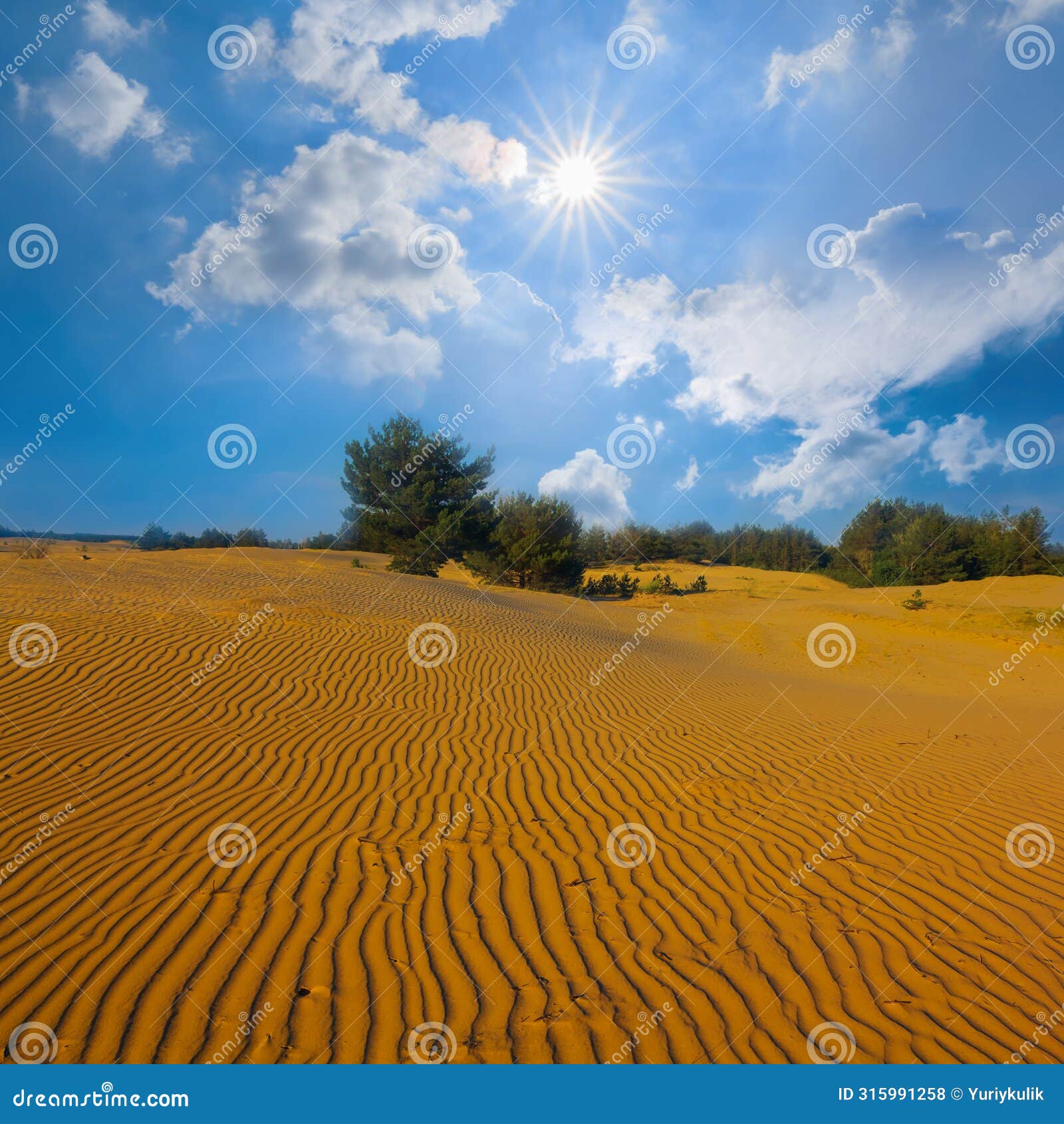 Sandy Desert Under a Sparkle Sun Stock Photo - Image of sunlight ...