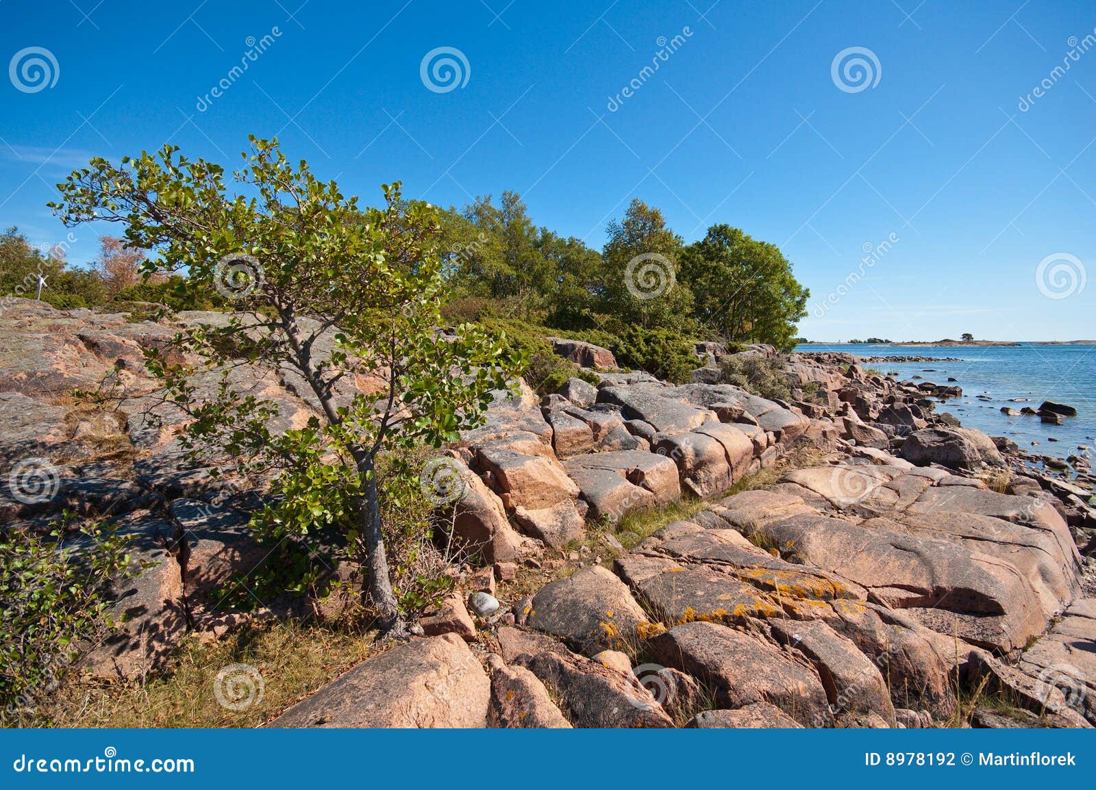 Summer in scandinavia stock photo. Image of pink, perfect - 8978192