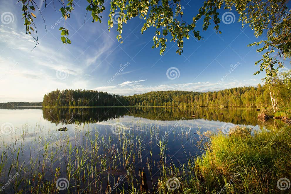 Summer scene stock photo. Image of environment, scenery - 10558744
