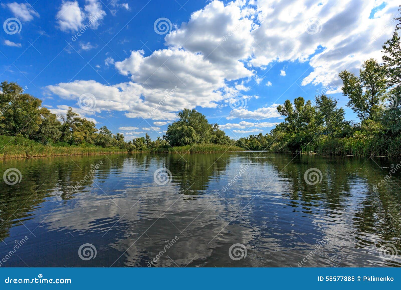 Summer Scene on Lake in Forest Stock Photo - Image of summer, beautiful ...