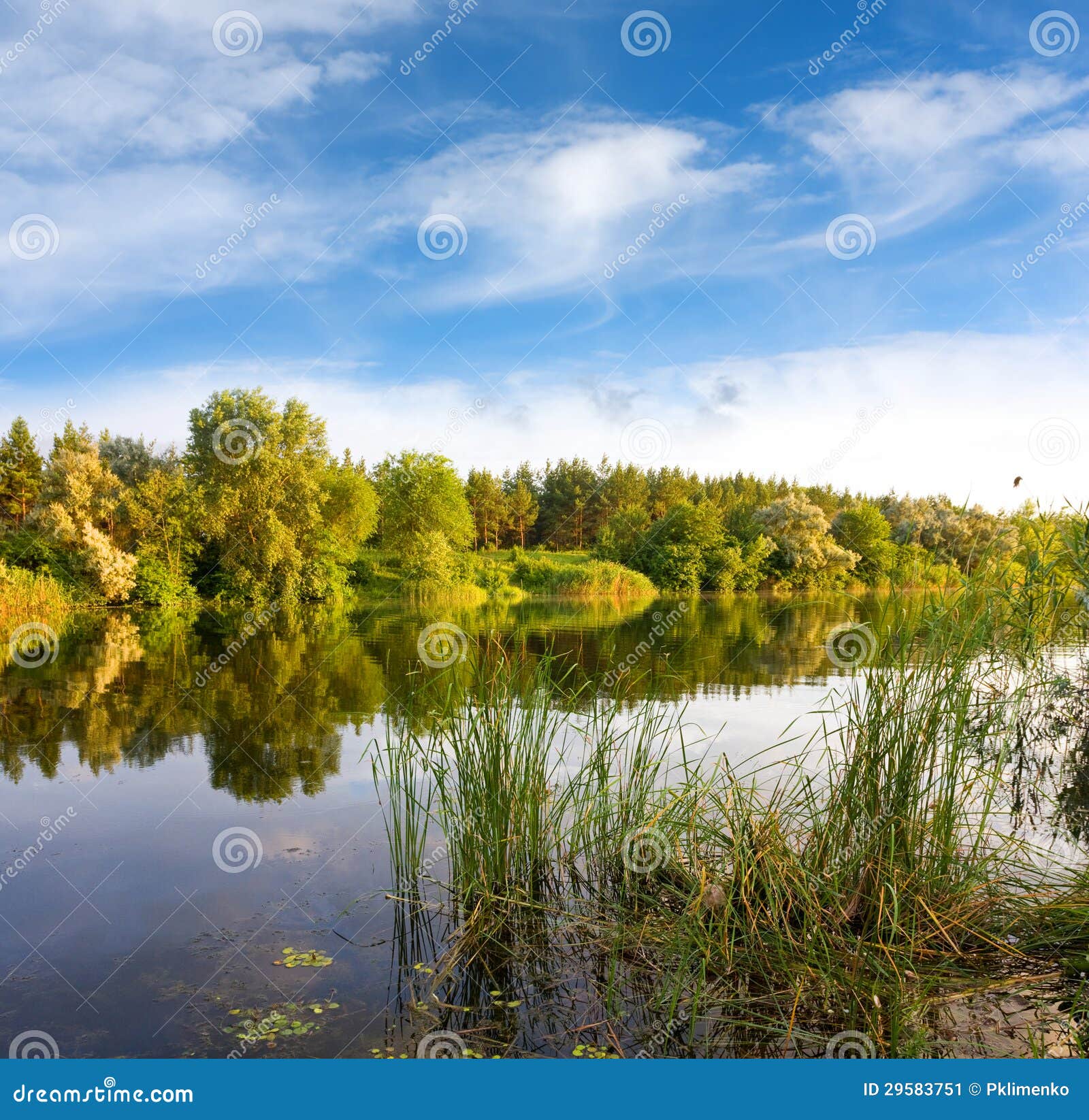 Summer scene on river stock image. Image of peace, green - 29583751