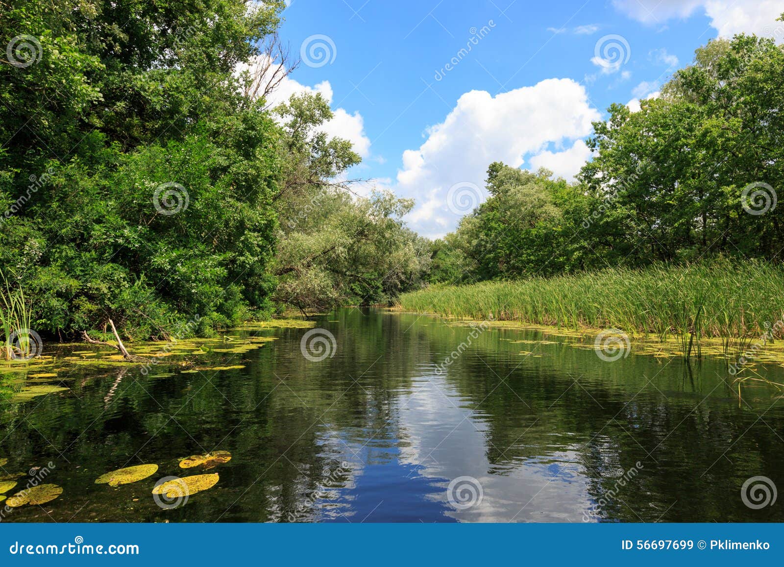 Summer scene on river stock image. Image of environmental - 56697699