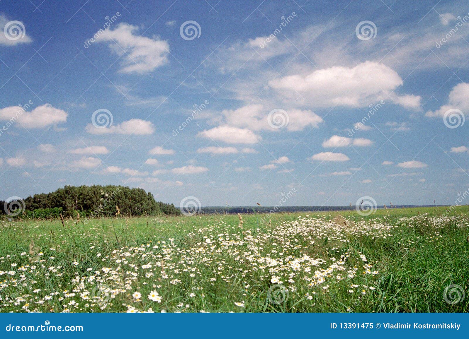 Summer scenery stock image. Image of season, nature, meadow - 13391475