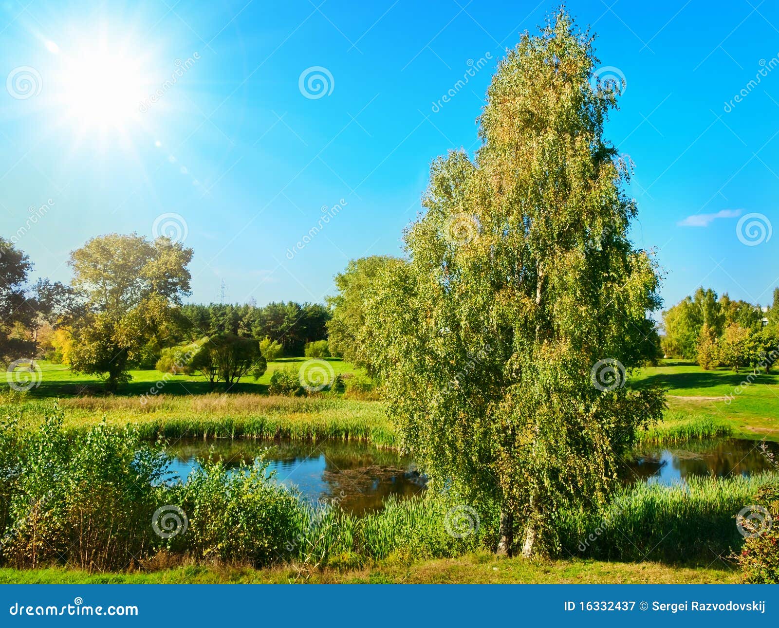 Summer scenery stock image. Image of idyllic, summer - 16332437
