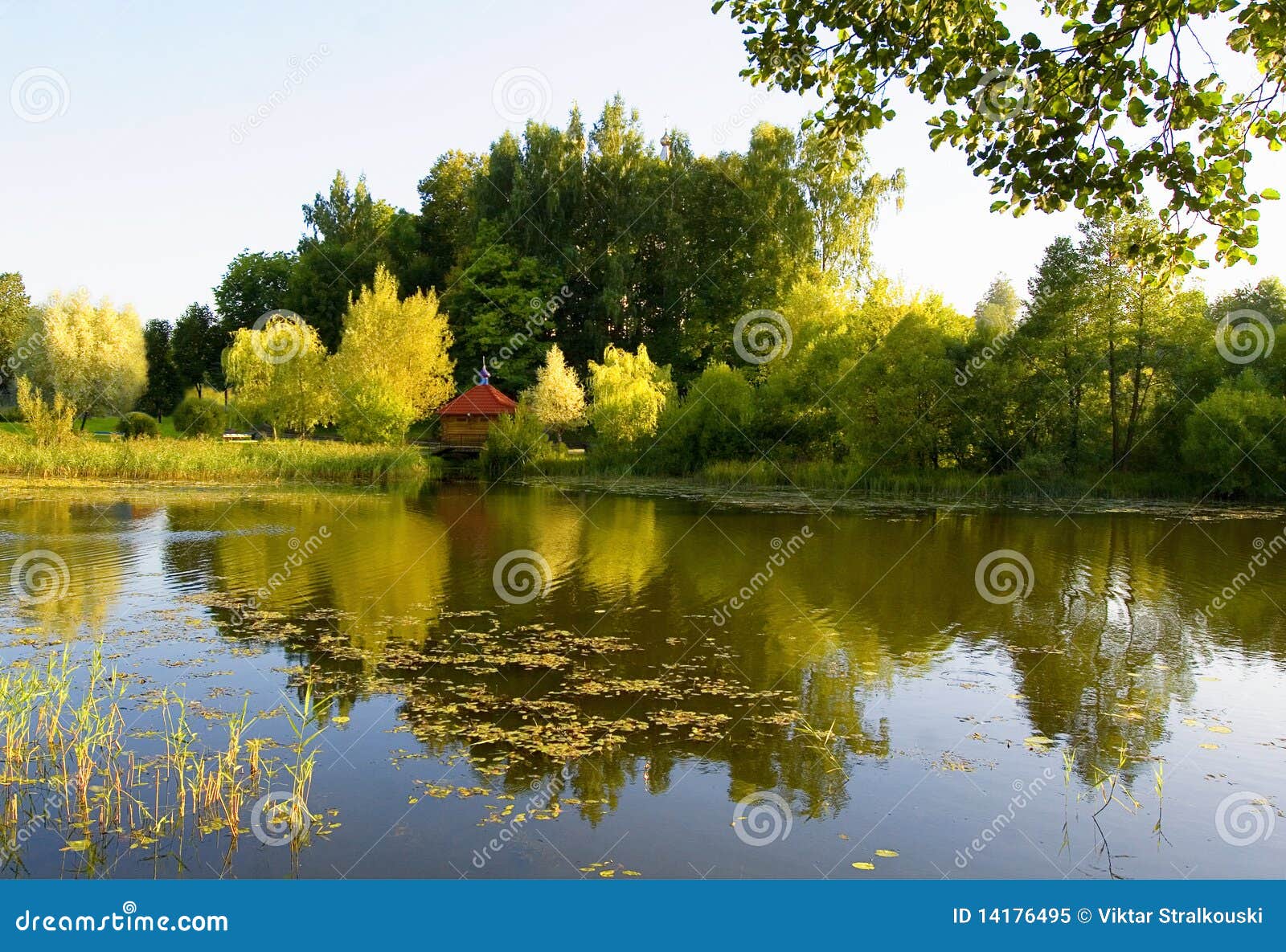 Summer Scenery with Lake in the Autumn Stock Image - Image of foliage ...