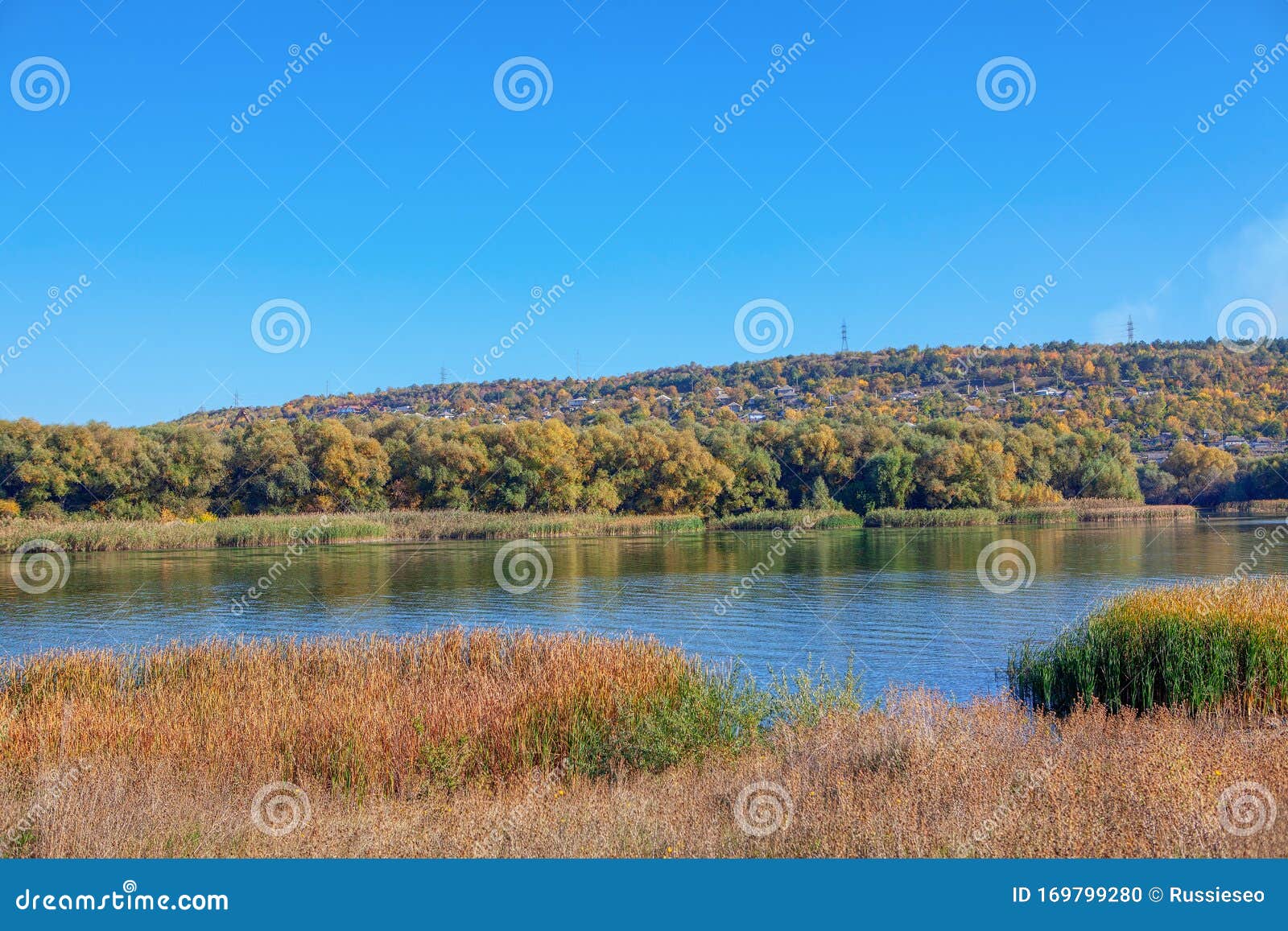 Scenery with Village and River Stock Photo - Image of reed, lakeside ...