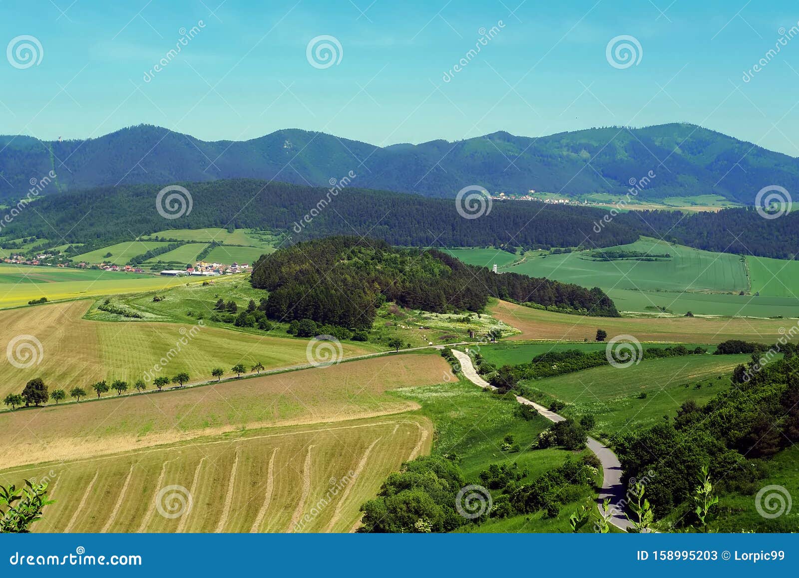 Summer sceneryin Slovakia stock image. Image of plants - 158995203