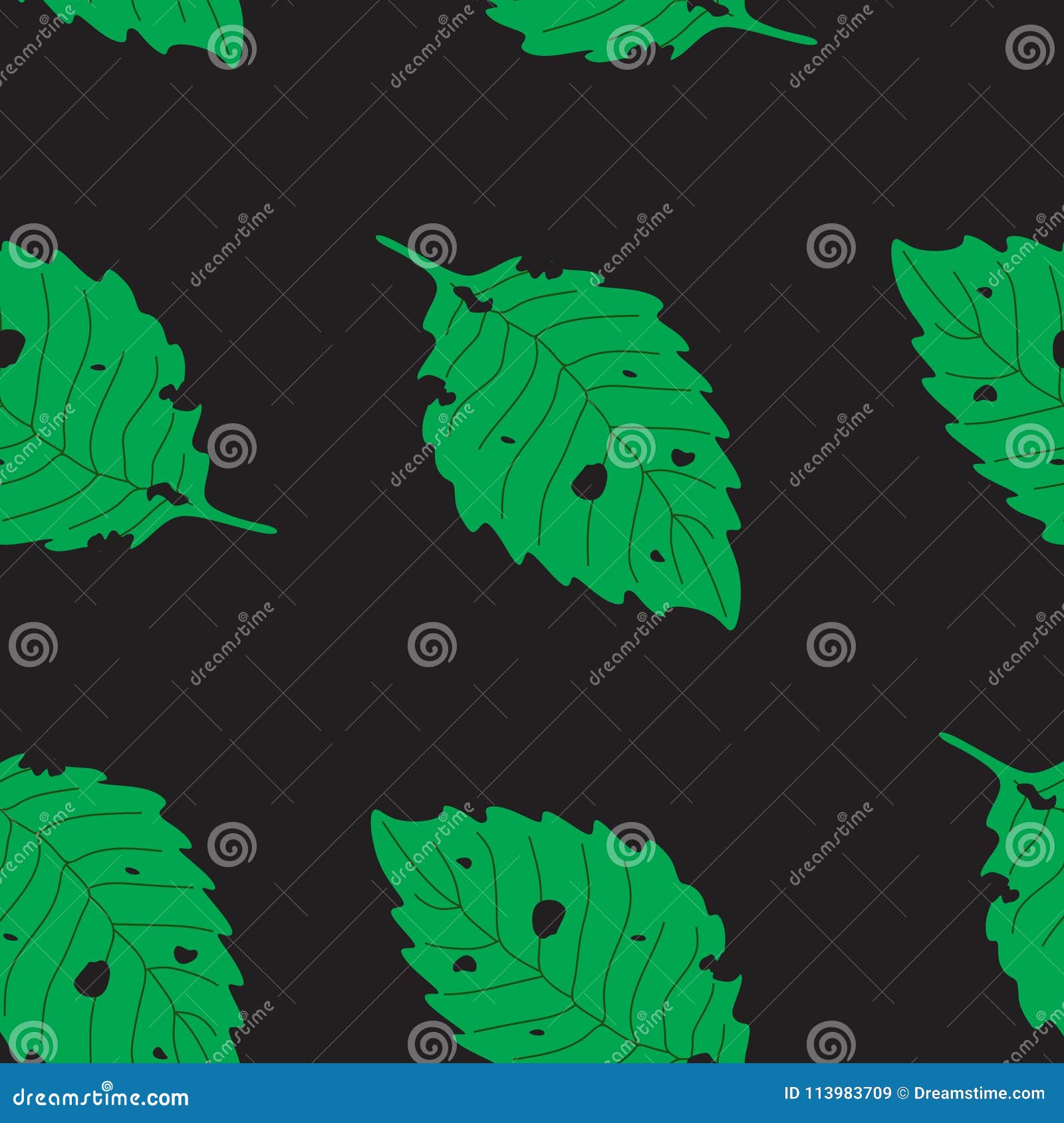 Summer Seamless Pattern the Leaf Bitten by a Caterpillar Stock ...
