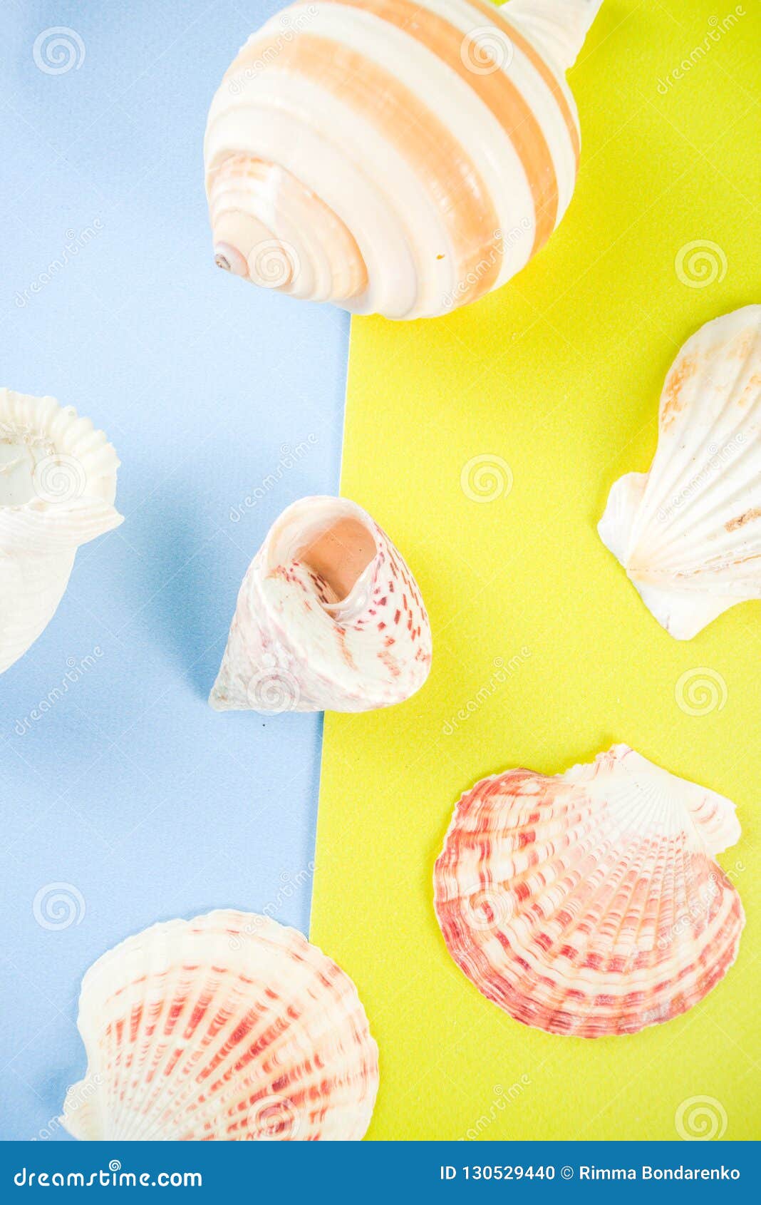 Summer Seashells Background Stock Photo - Image of marine, beach: 130529440