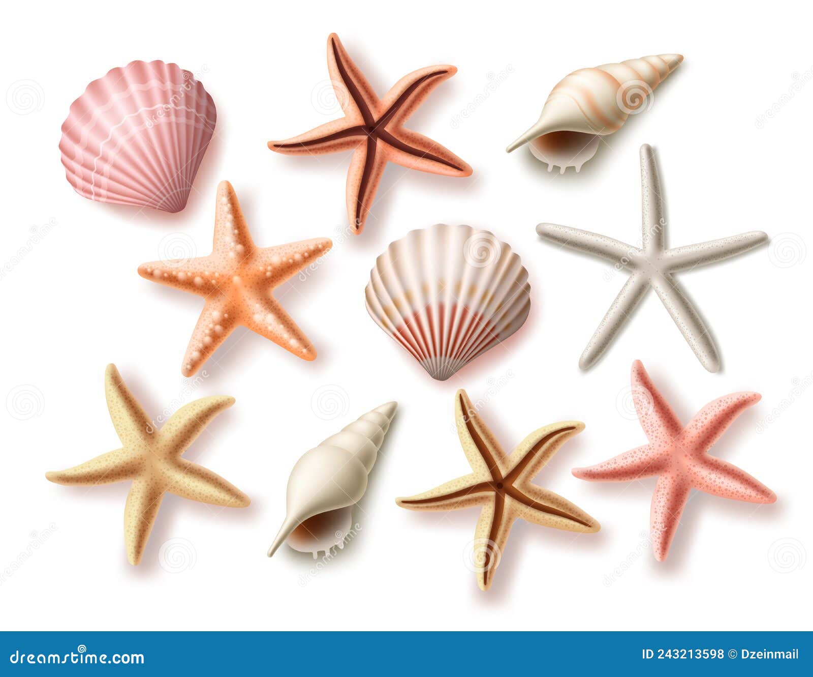 Summer Seashells Vector Set. Beach Sea Shells Collection and Assorted ...