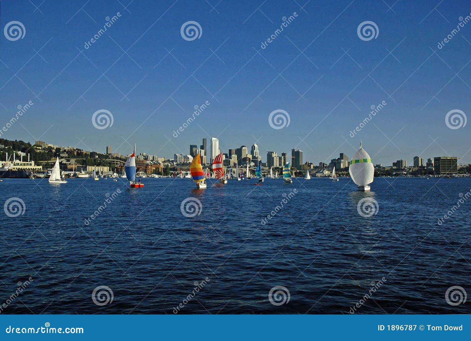 Summer in Seattle stock image. Image of seattle, crew - 1896787