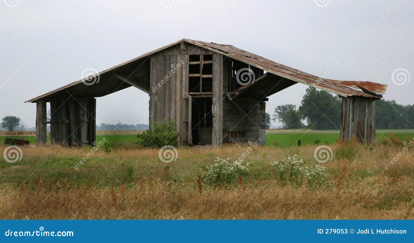 Summer Shed stock image. Image of barn, southern, brown - 279053