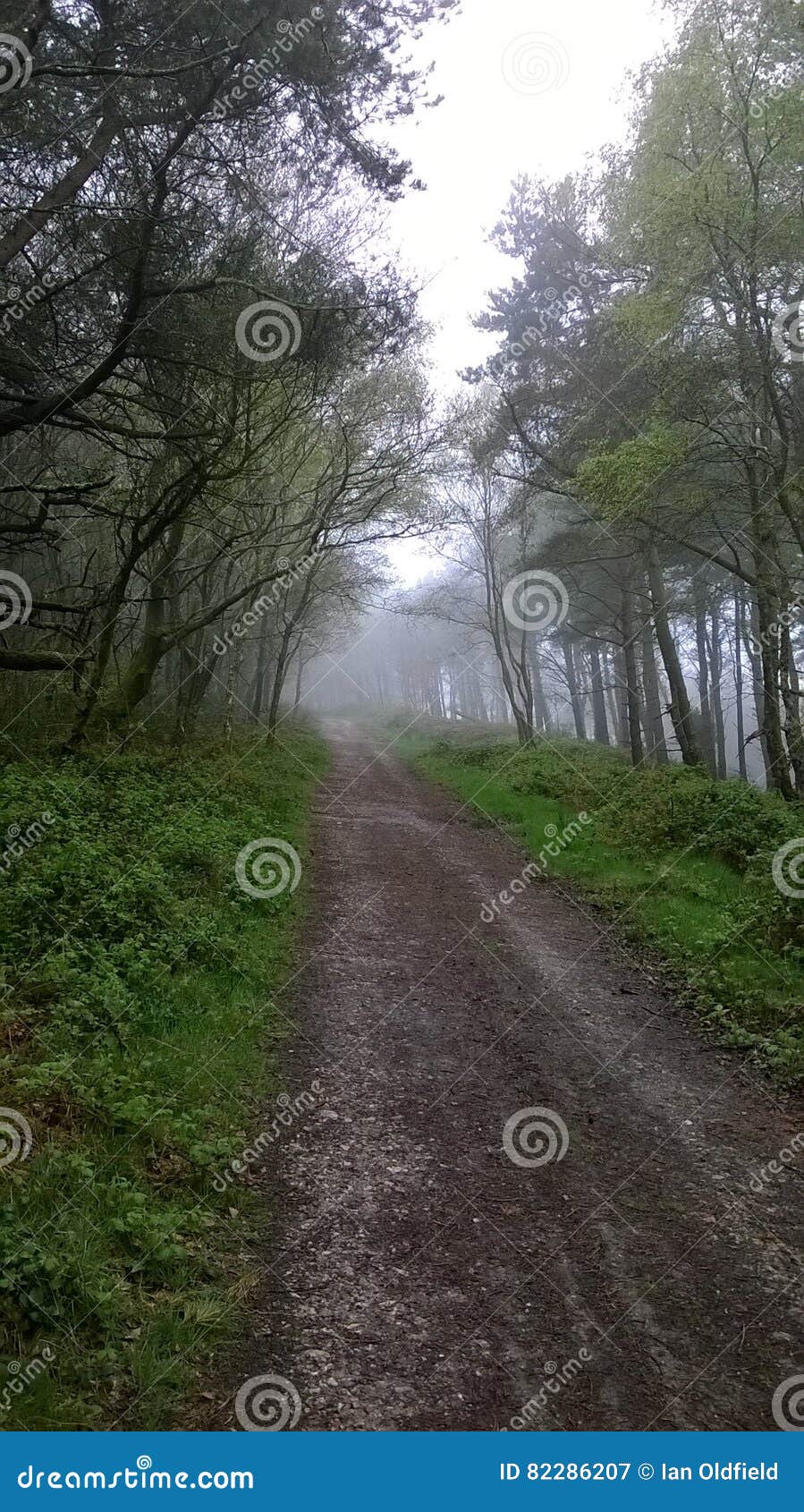 Summer in Sidmouth Down a Dusty Path Stock Image - Image of landscape ...