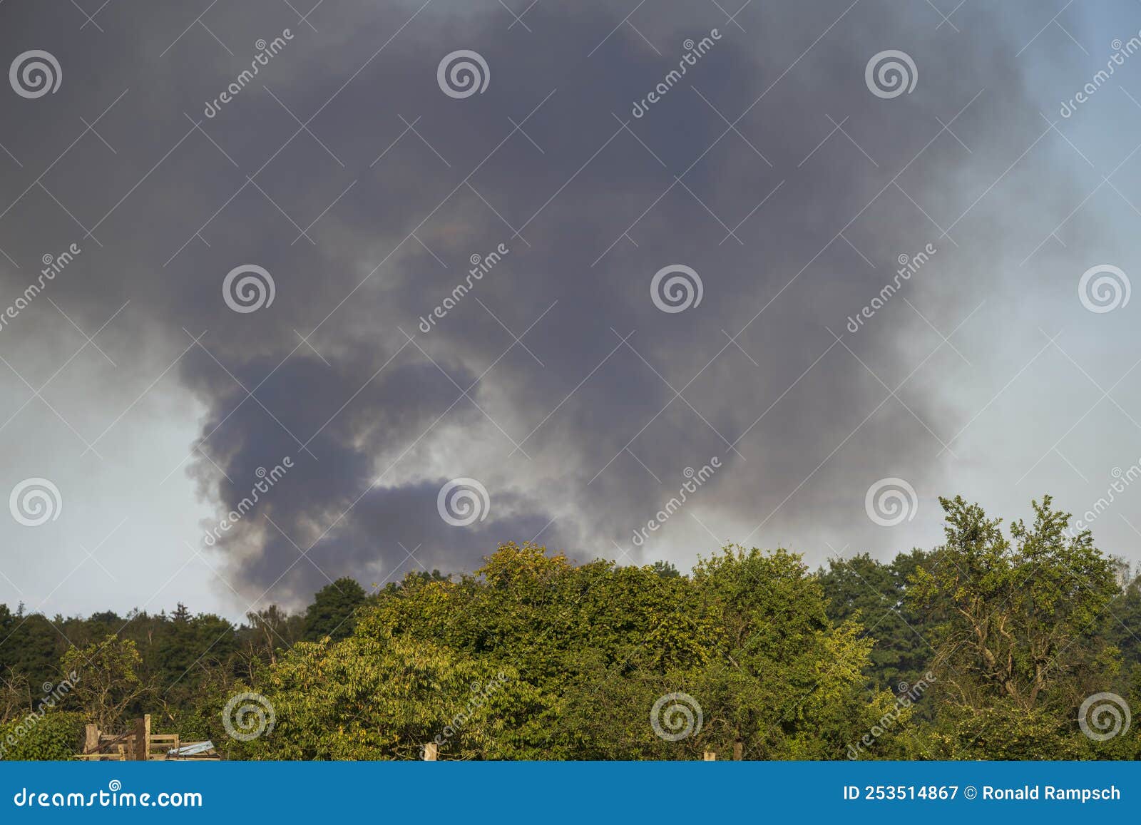 Column of Smoke from a Developing Forest Fire Stock Image - Image of ...