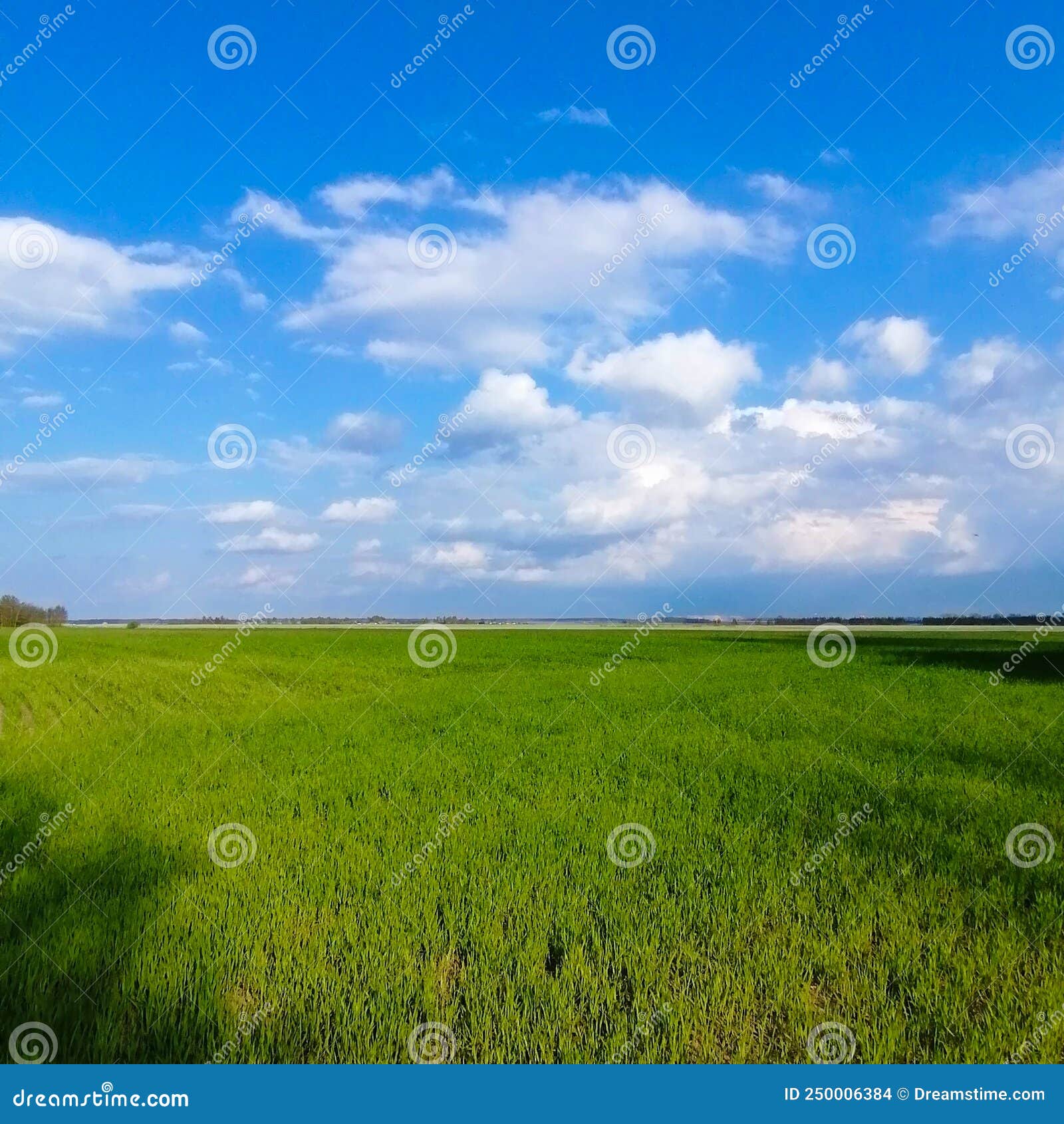 Summer, Sky, Field, Sun, Horizont Stock Photo - Image of prairie, hill ...