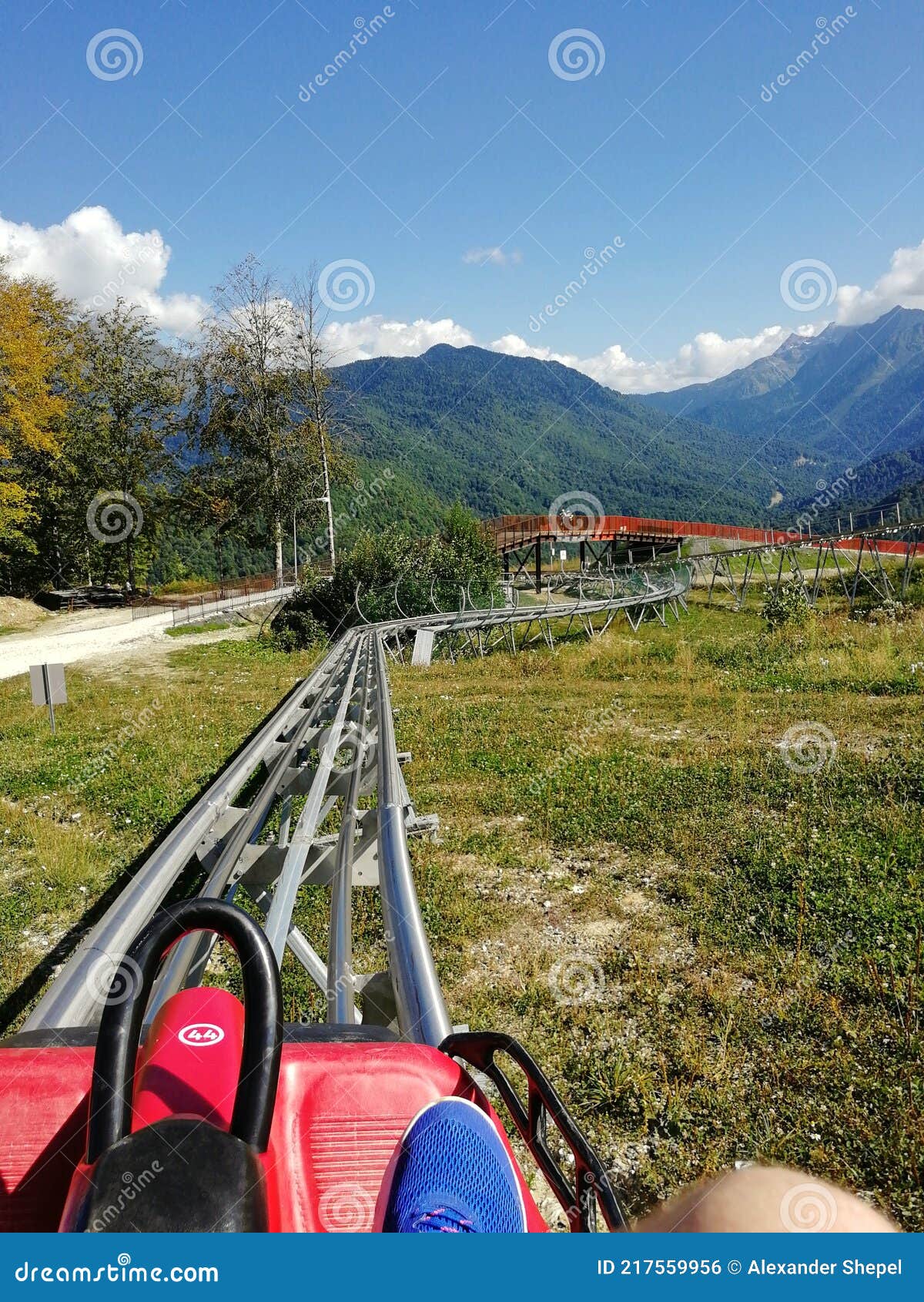 Summer Sledging in the Mountains Stock Photo - Image of mountain ...