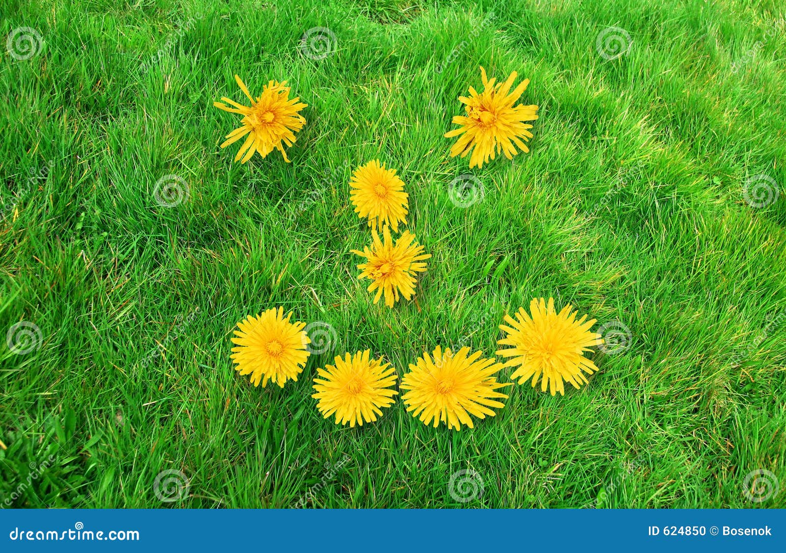 Summer Smiley Picture. Image: 624850