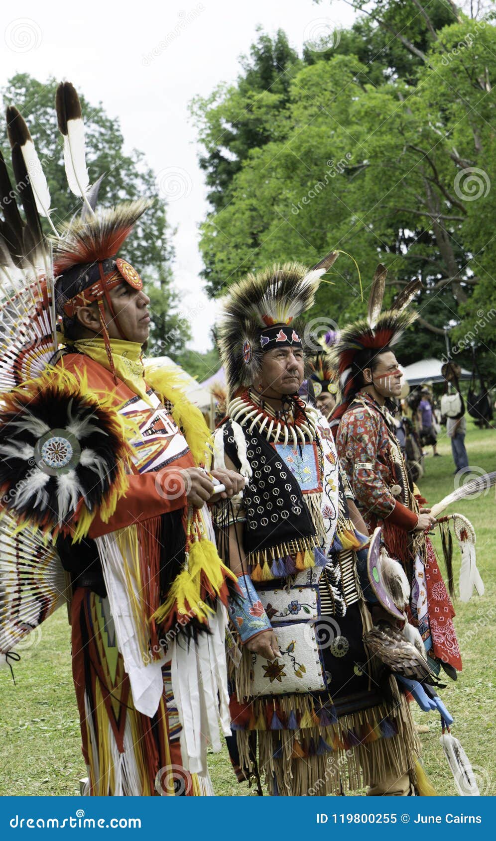 Summer solstice 696 editorial image. Image of native - 119800255