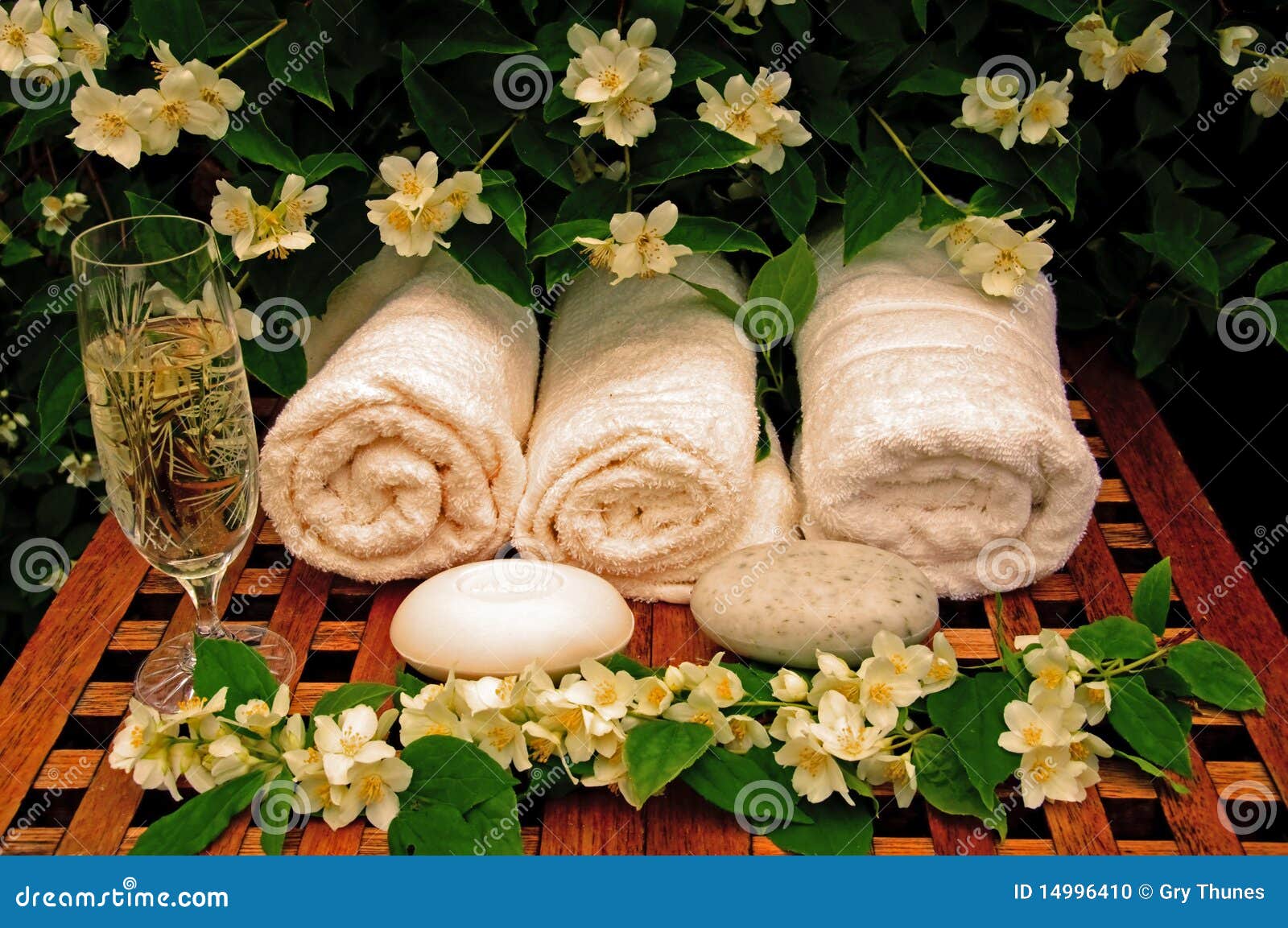 Summer spa stock photo. Image of relaxation, beauty, surprise - 14996410