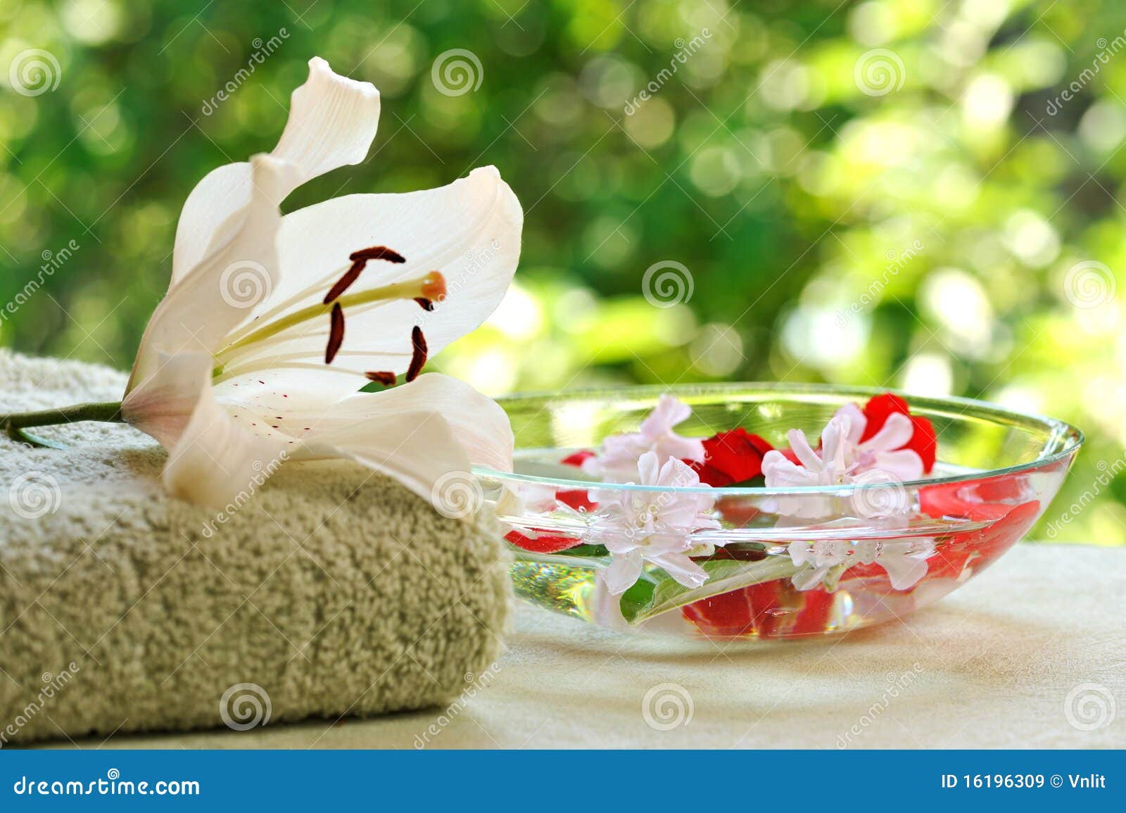 Summer spa stock image. Image of floating, daisy, bright - 16196309