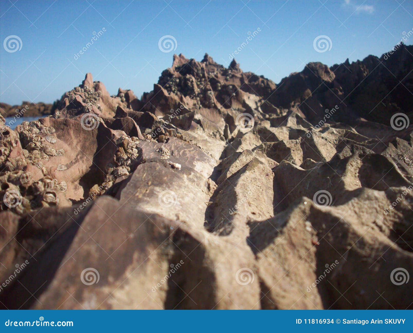 Summer spikes rocks stock photo. Image of light, uruguay - 11816934