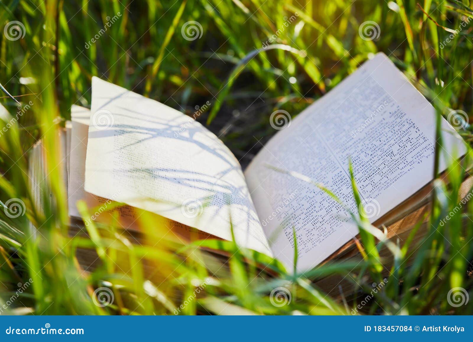 Summer Spring Background with Open Book. Back To School Stock Photo ...