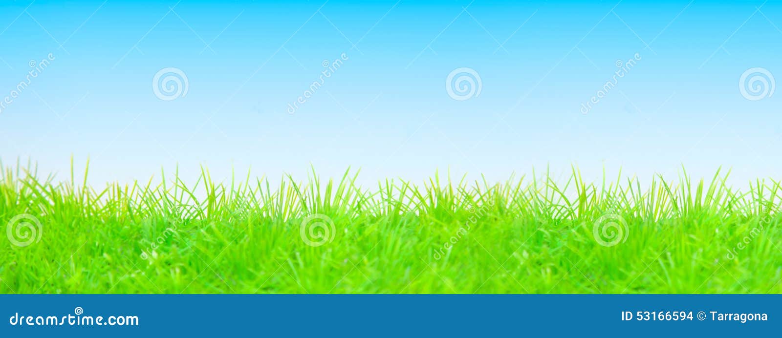 Summer spring green blue stock photo. Image of beautiful - 53166594