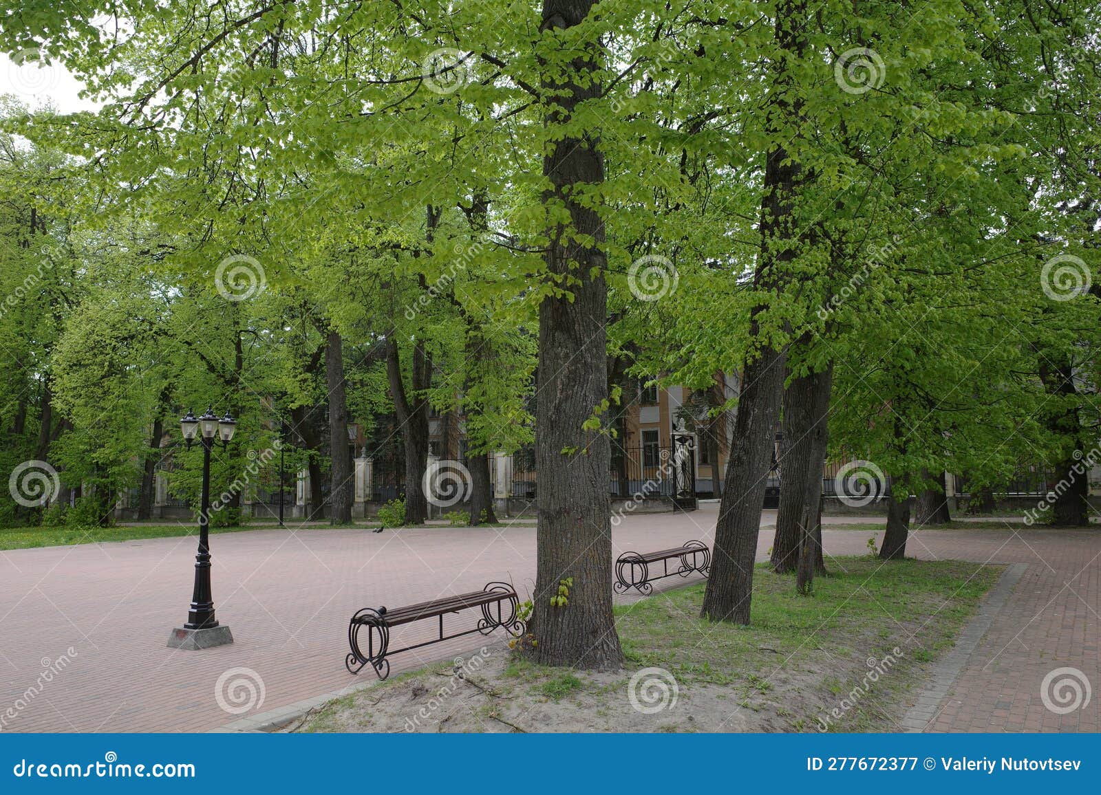 A Summer Square with Trees and a Path. Editorial Photography - Image of ...