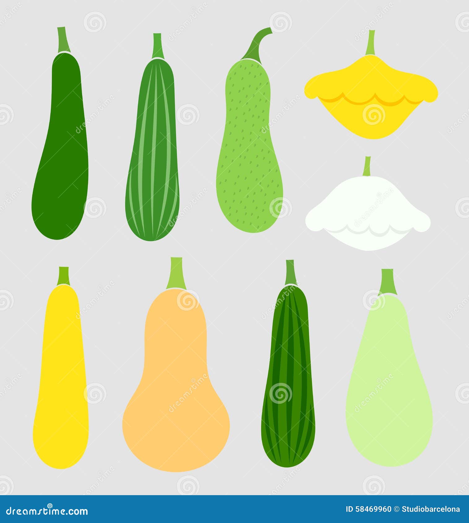 Summer Squash Clipart