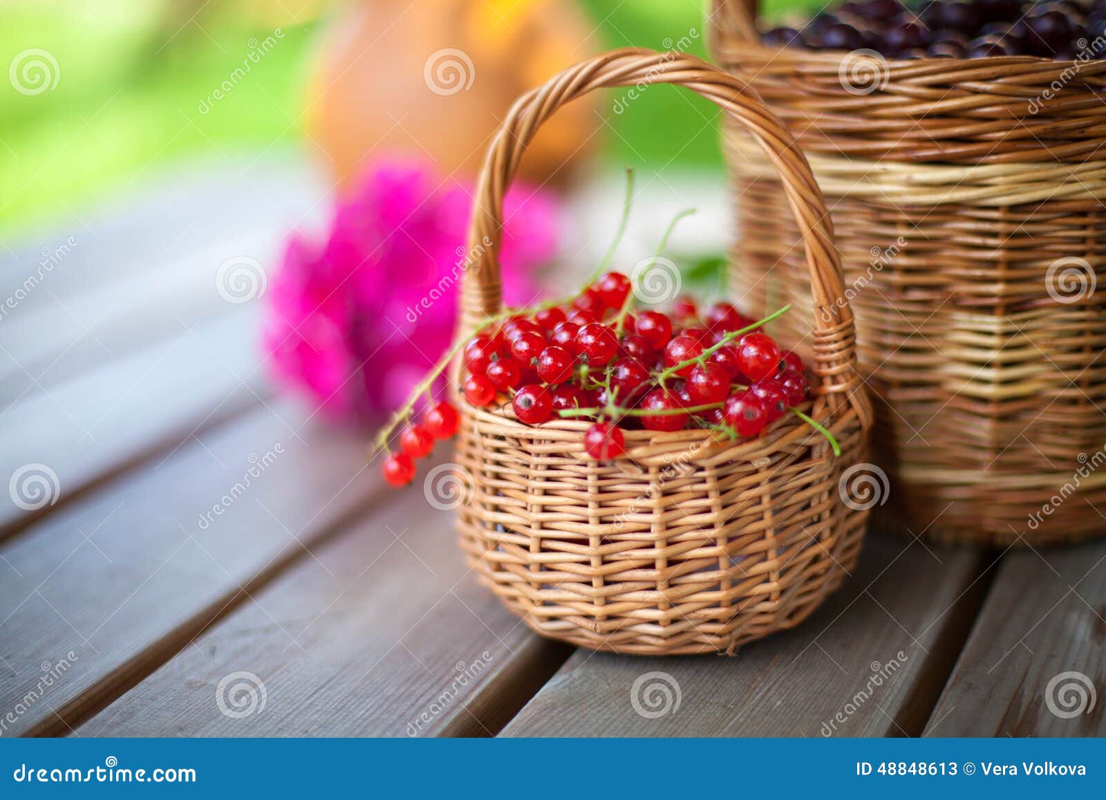 Summer still life stock image. Image of berries, fresh - 48848613