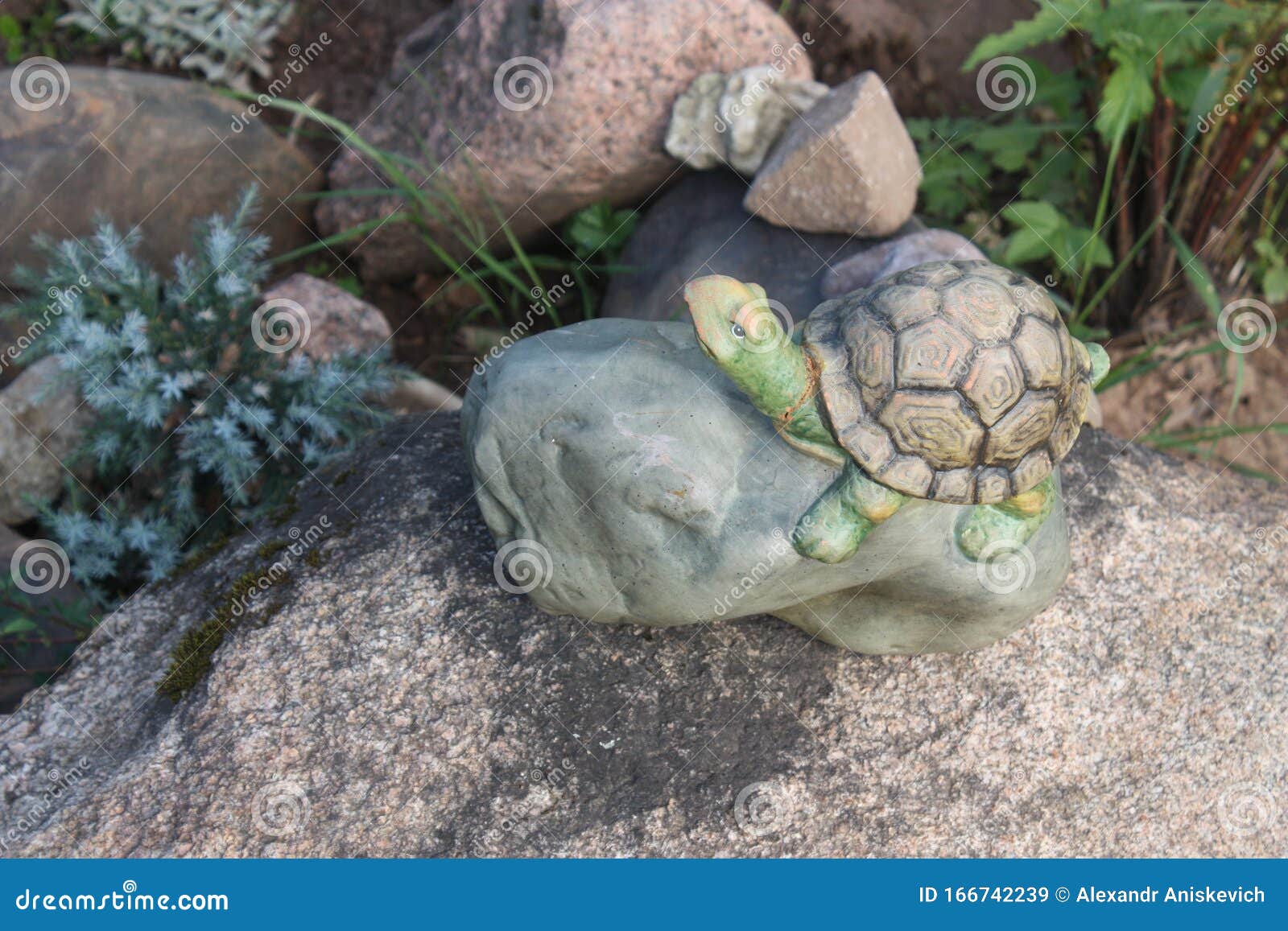 Still Life with a Toy Turtle on a Stone Stock Image - Image of turtle ...