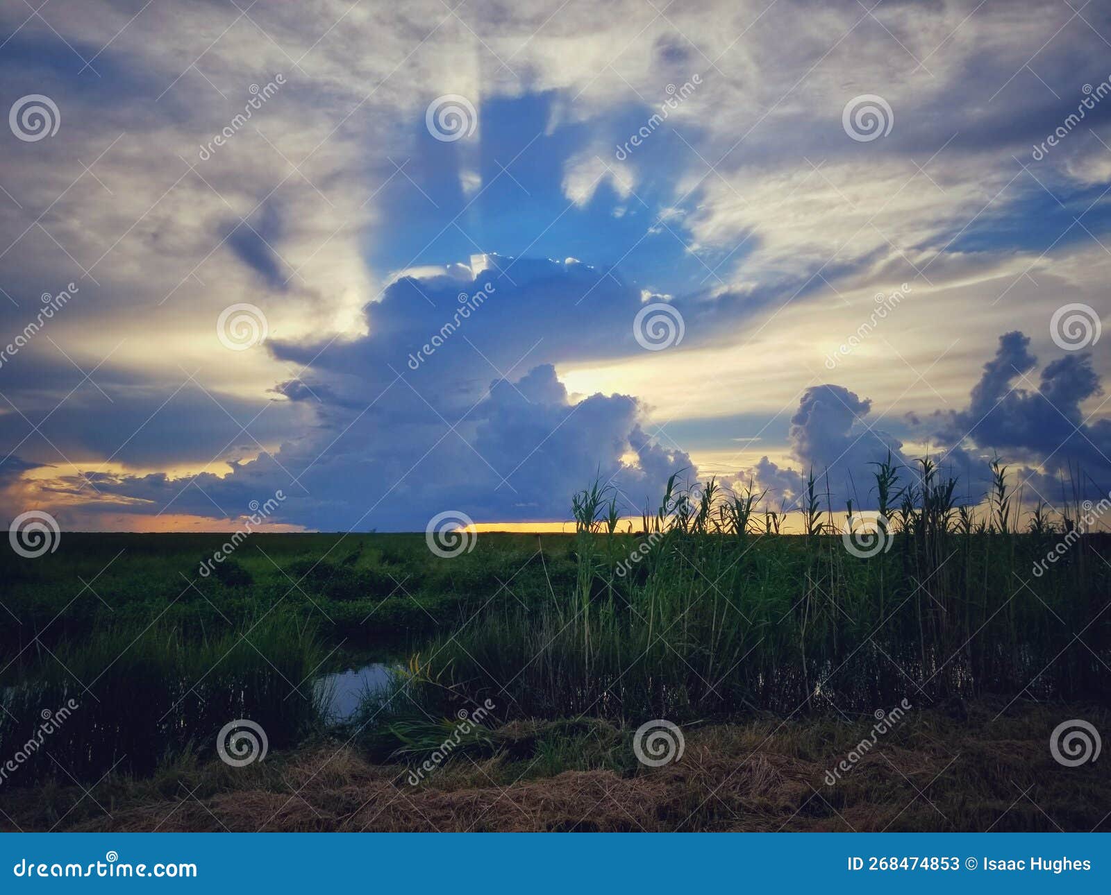 Summer Storm Clouds Over the Marsh at Sunset. Stock Image - Image of ...