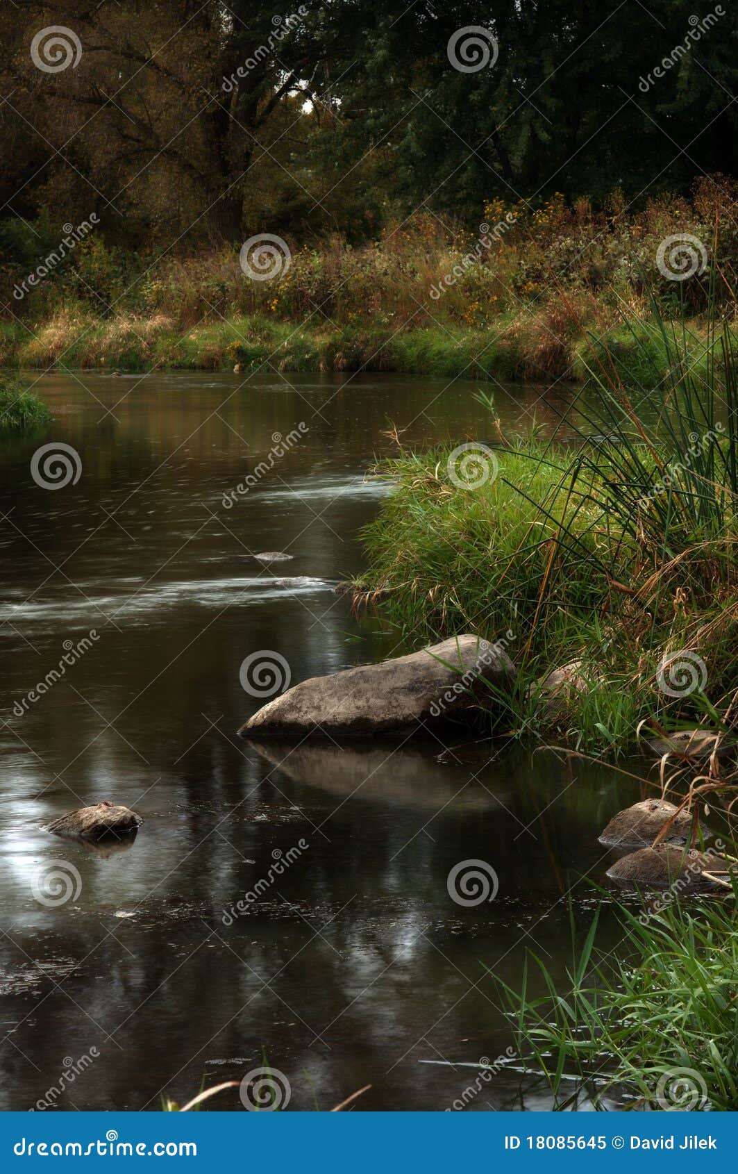 Summer Stream stock image. Image of water, forest, rocks - 18085645