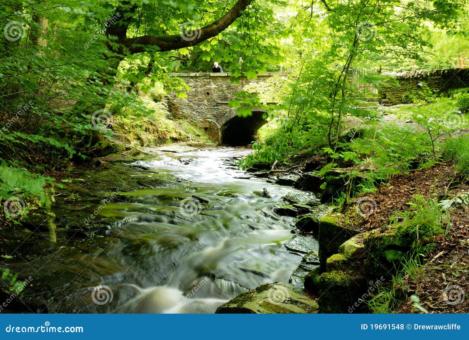 Summer Stream stock photo. Image of burn, flowing, bridge - 19691548