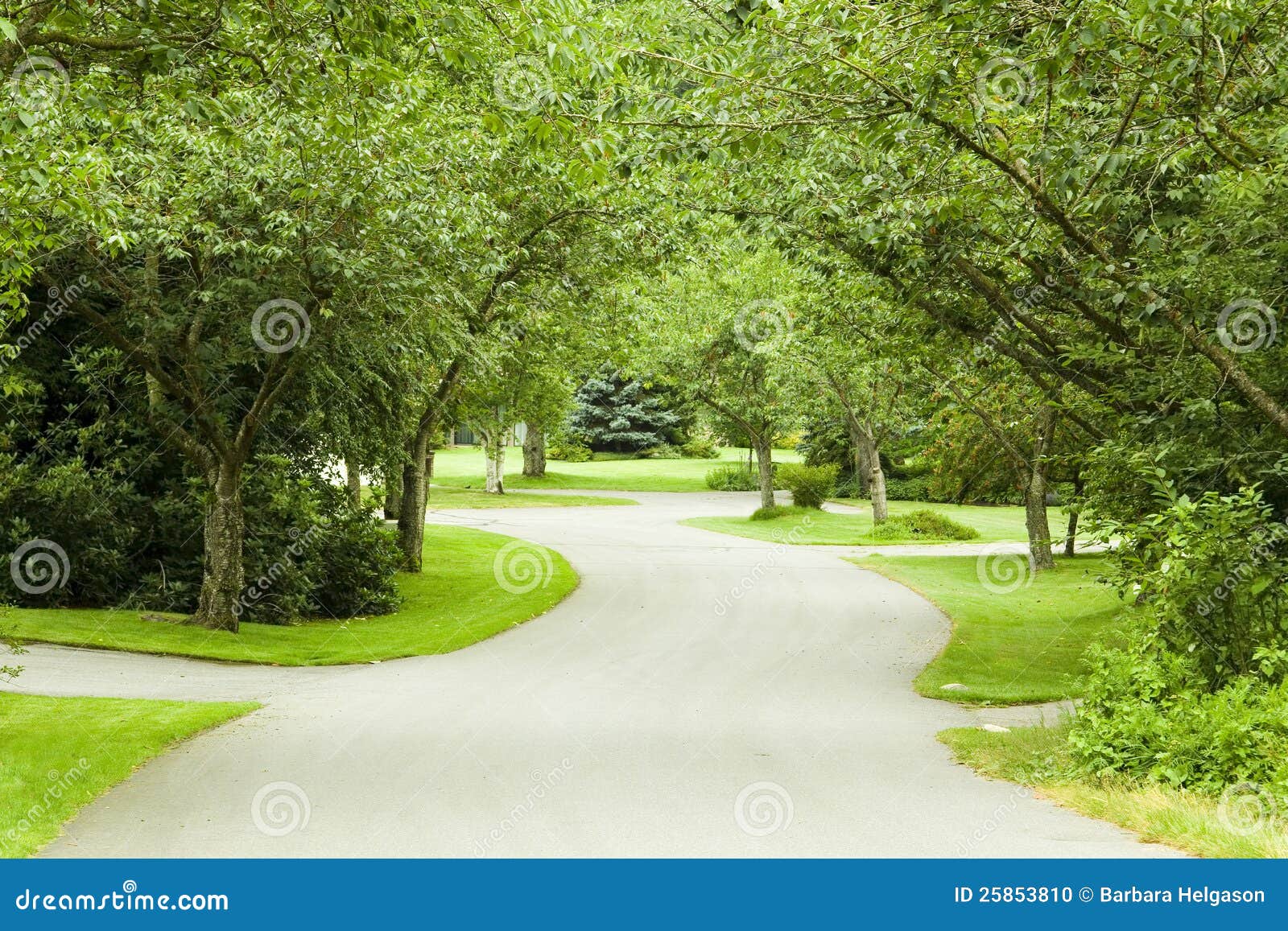 Summer street. stock photo. Image of parkway, greenery - 25853810