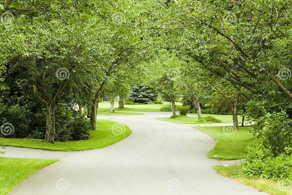 Summer street. stock photo. Image of parkway, greenery - 25853810